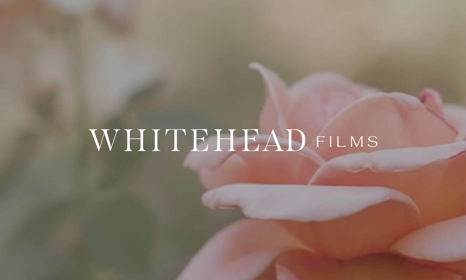 Brand Design: Whitehead Films | Sarah Ann Design