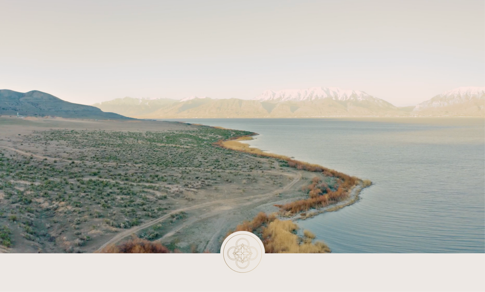 Brand Design: Whitehead Films | Sarah Ann Design