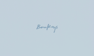 Brand Design: Ben Keys Fine Art Studio | Sarah Ann Design