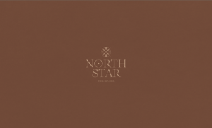 Brand Design: North Star Design Co. | Sarah Ann Design