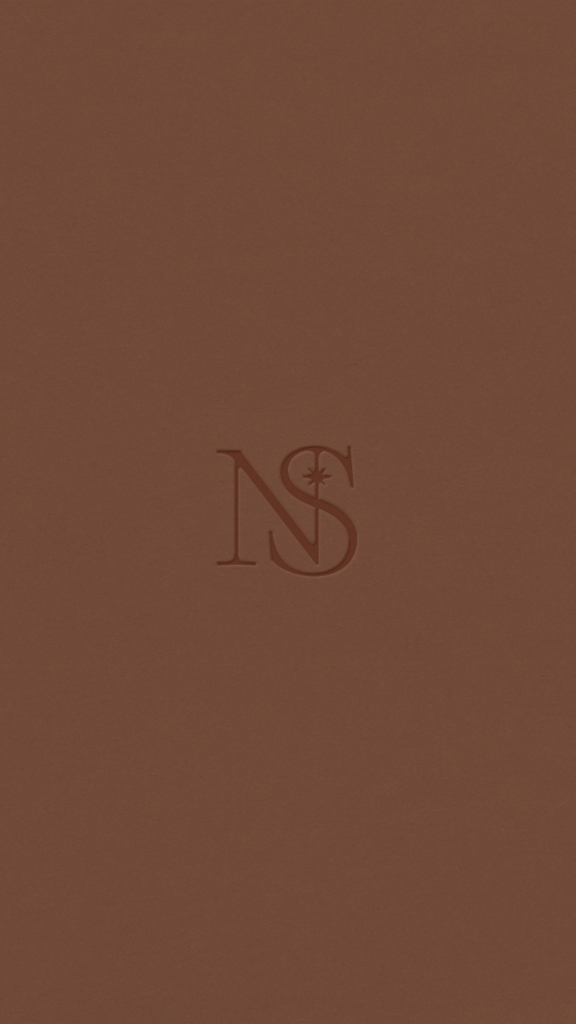 Brand Design: North Star Design Co. | Sarah Ann Design