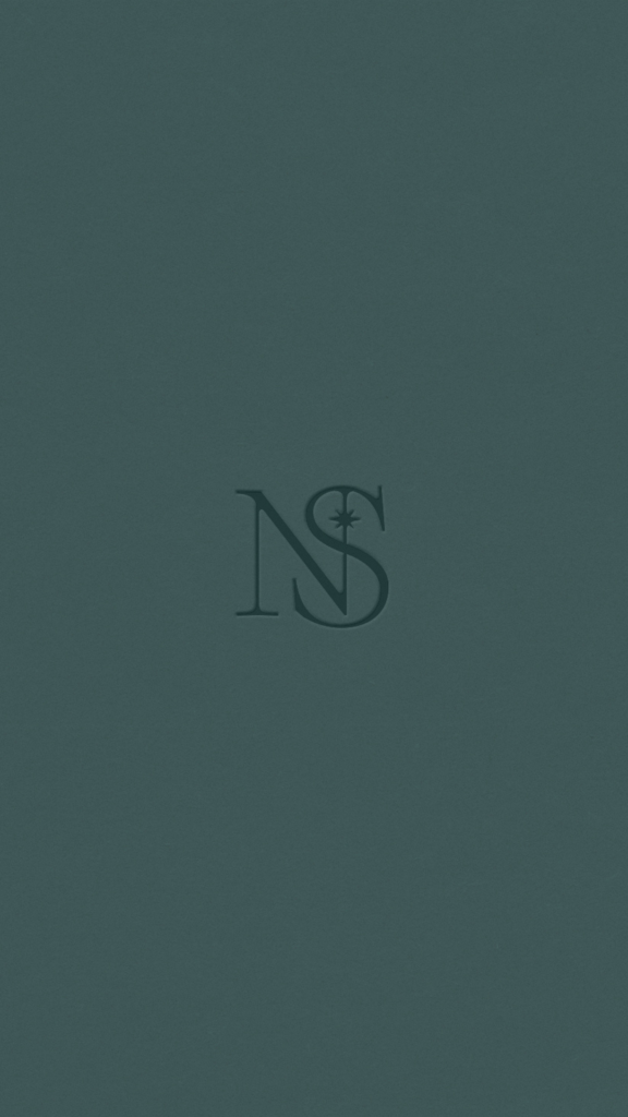 Brand Design: North Star Design Co. | Sarah Ann Design