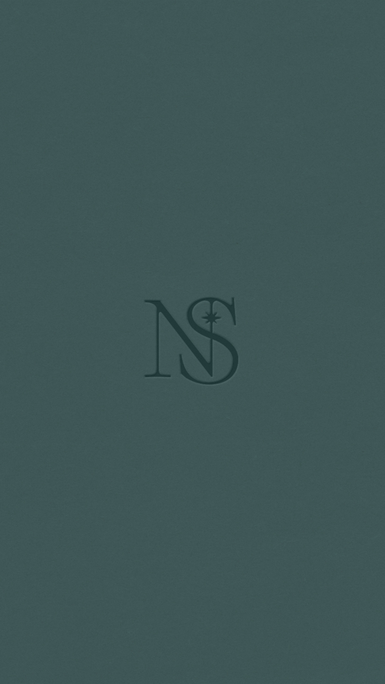 Brand Design: North Star Design Co. | Sarah Ann Design