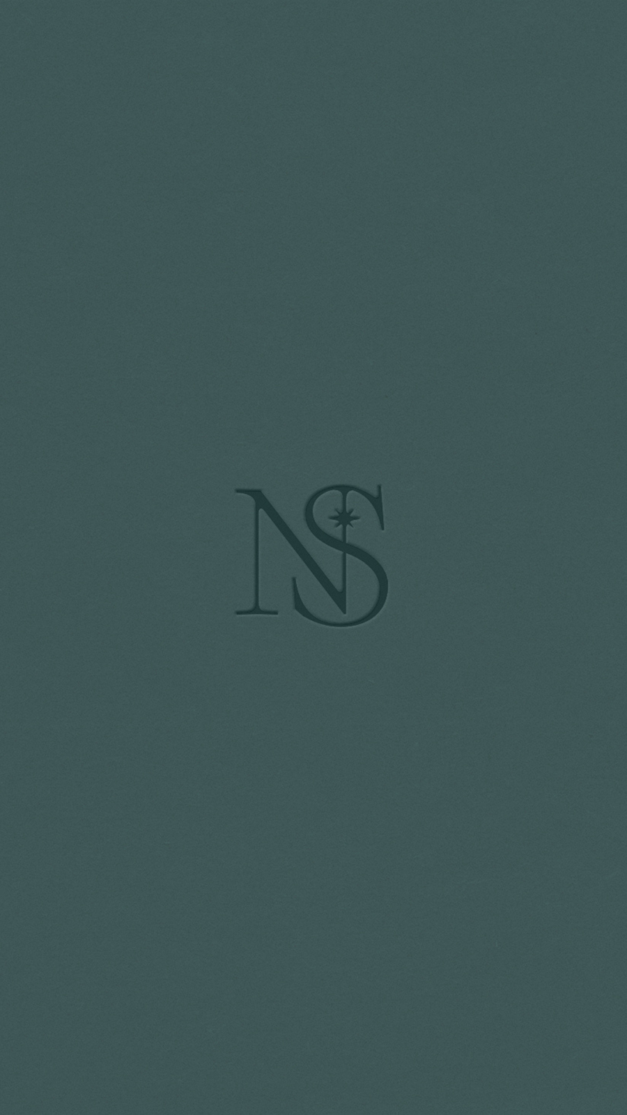 Brand Design: North Star Design Co. | Sarah Ann Design